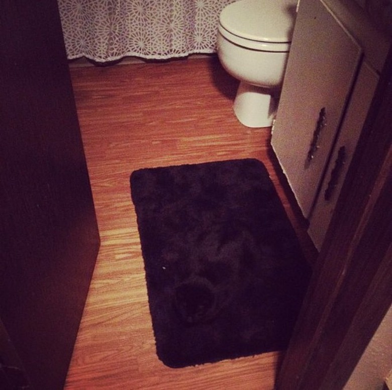21 Black Cat Problems All Black Cat Owners Can Relate To