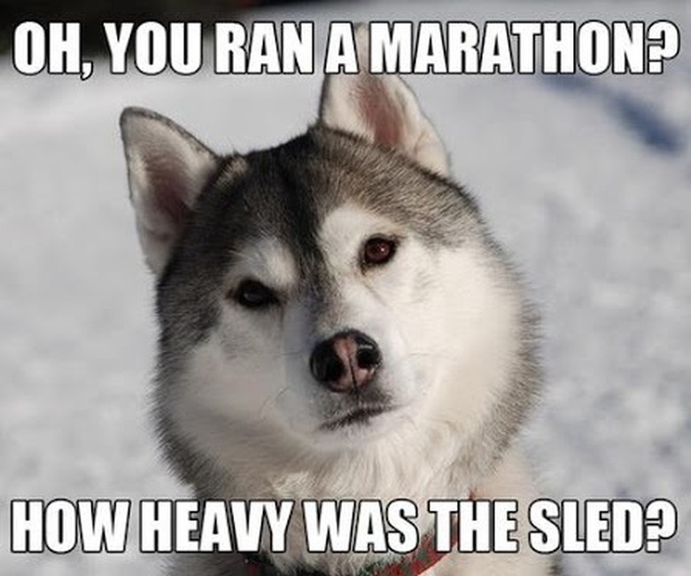 22 Hilarious Memes For Anyone Who Loves Huskies