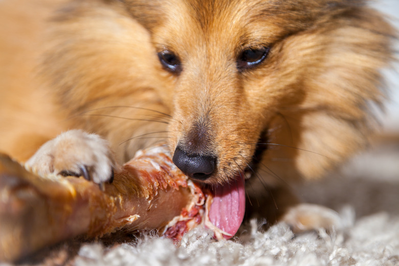 How To Cook Bones For Dogs | Cuteness