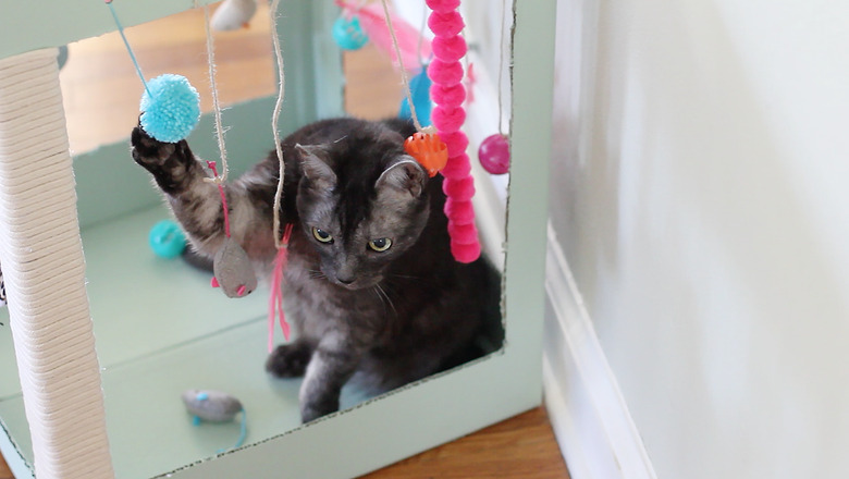 Make A Kitty Playplace Out Of A Box