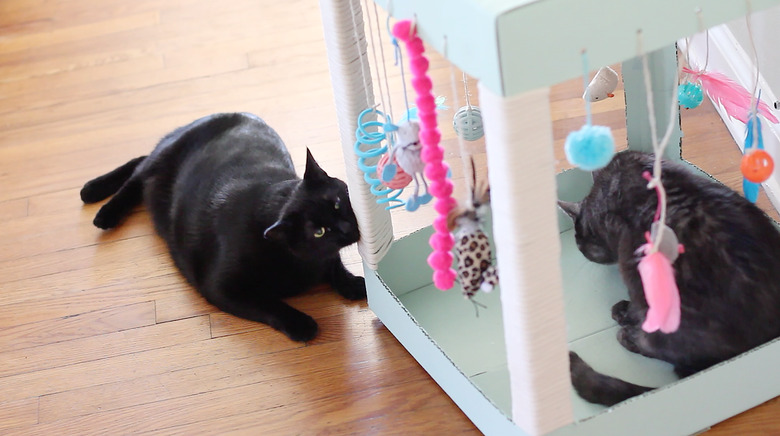 Make A Kitty Playplace Out Of A Box