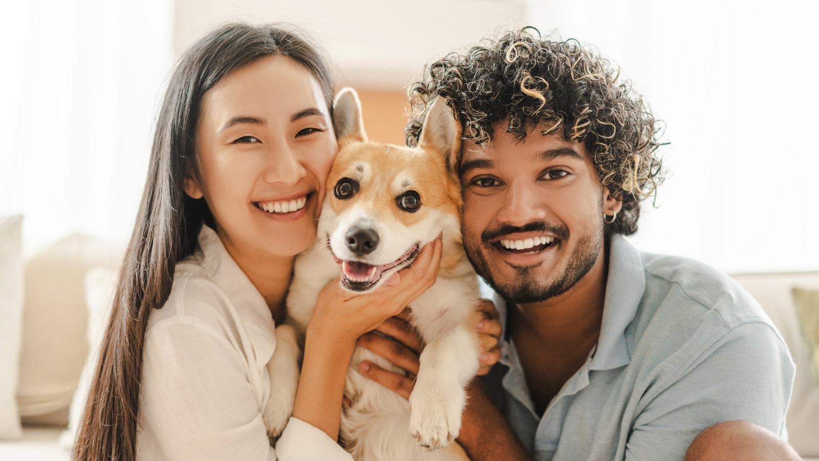 Pictures All Pet Lovers Need To See