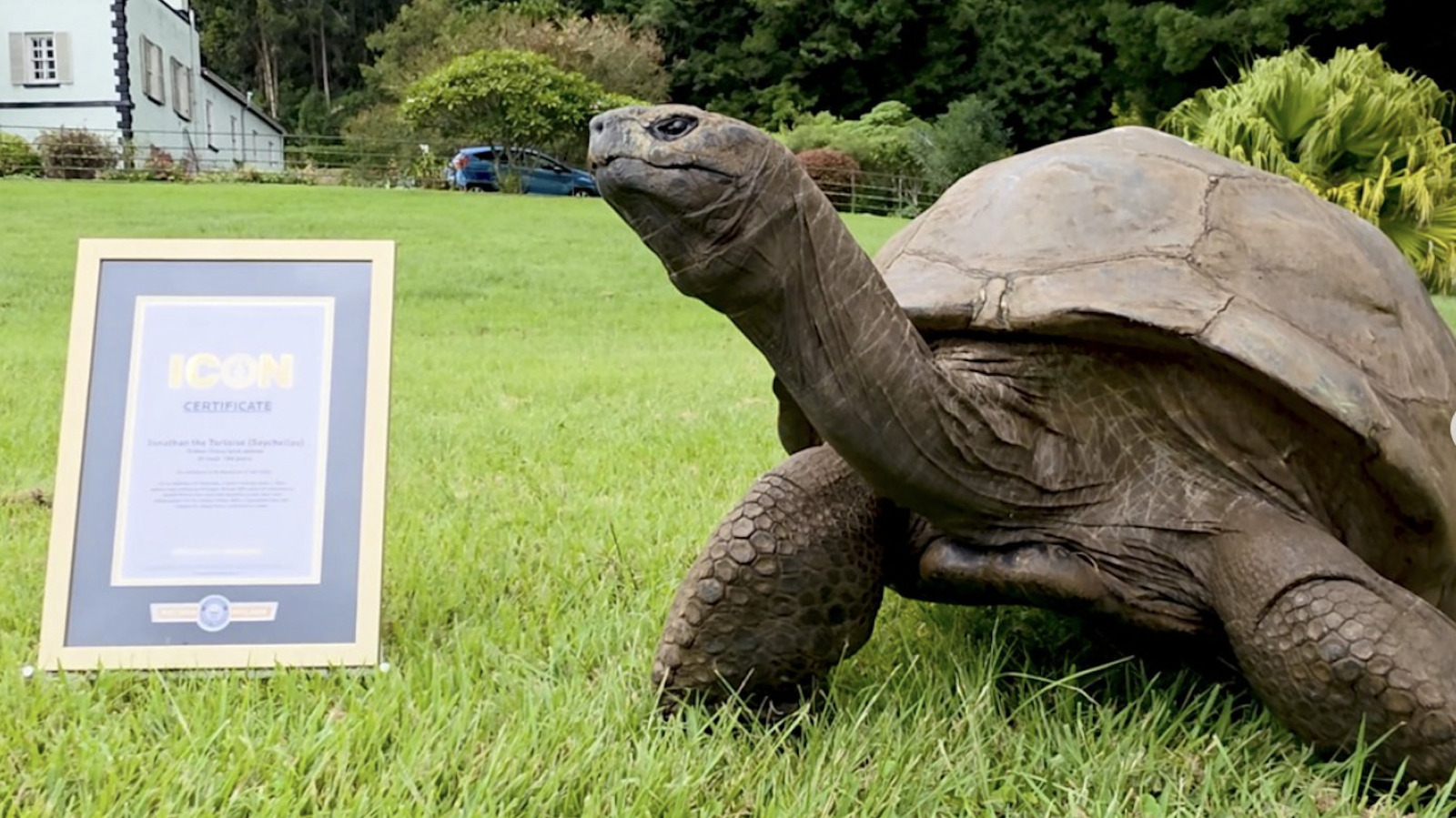 'Absolute Legend': Jonathan The Tortoise Is Breaking Records At 194 ...