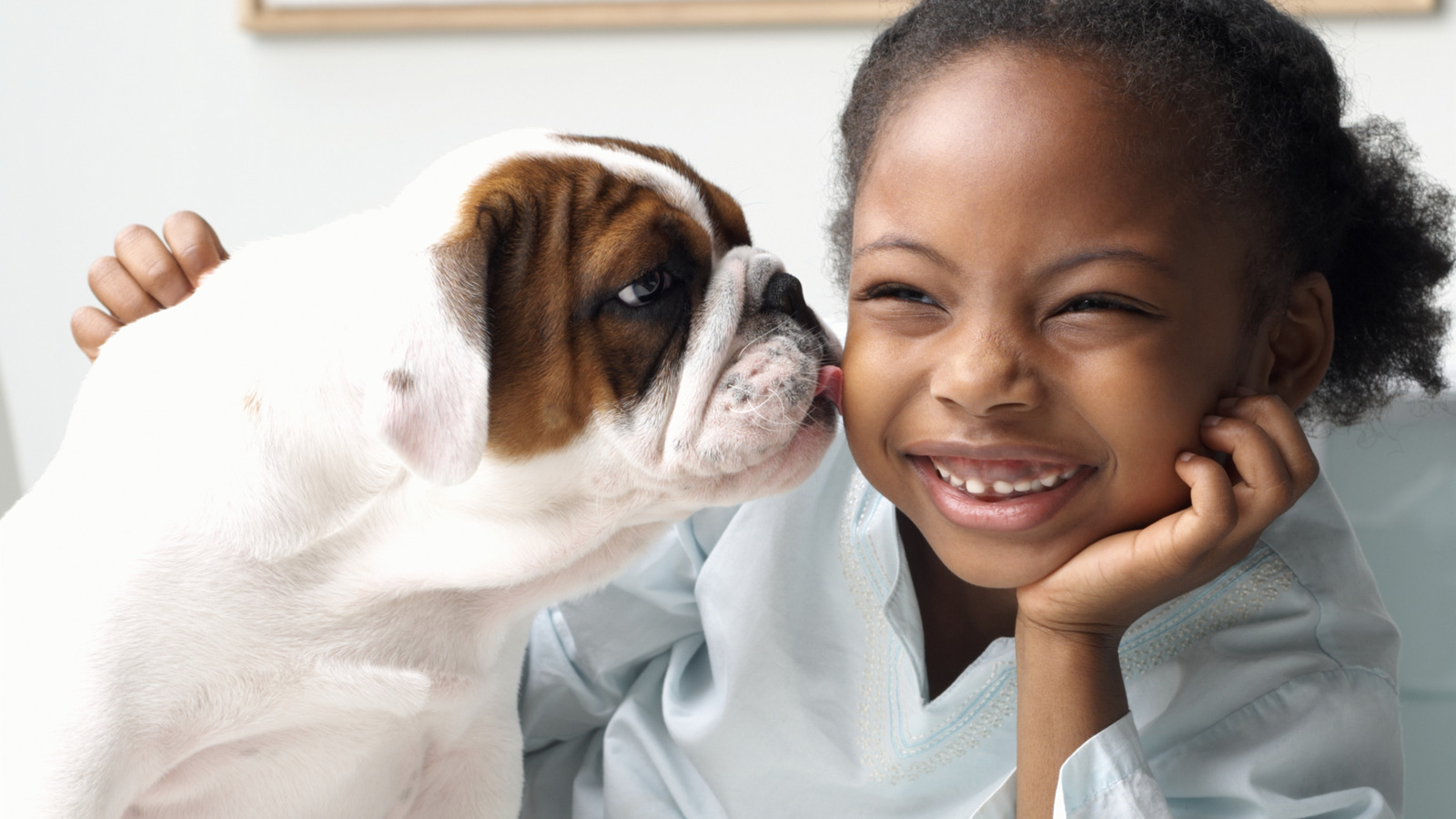 Are Bulldogs A Good Choice To Bring Into A Home With Kids? What We Know