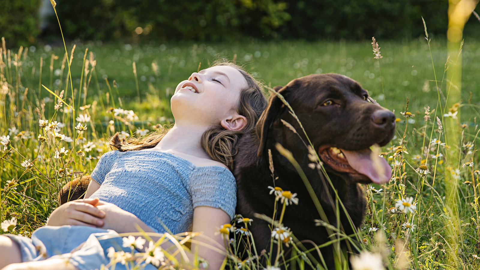 Are Labrador Retrievers Good Dogs To Have Around Kids? What To Know