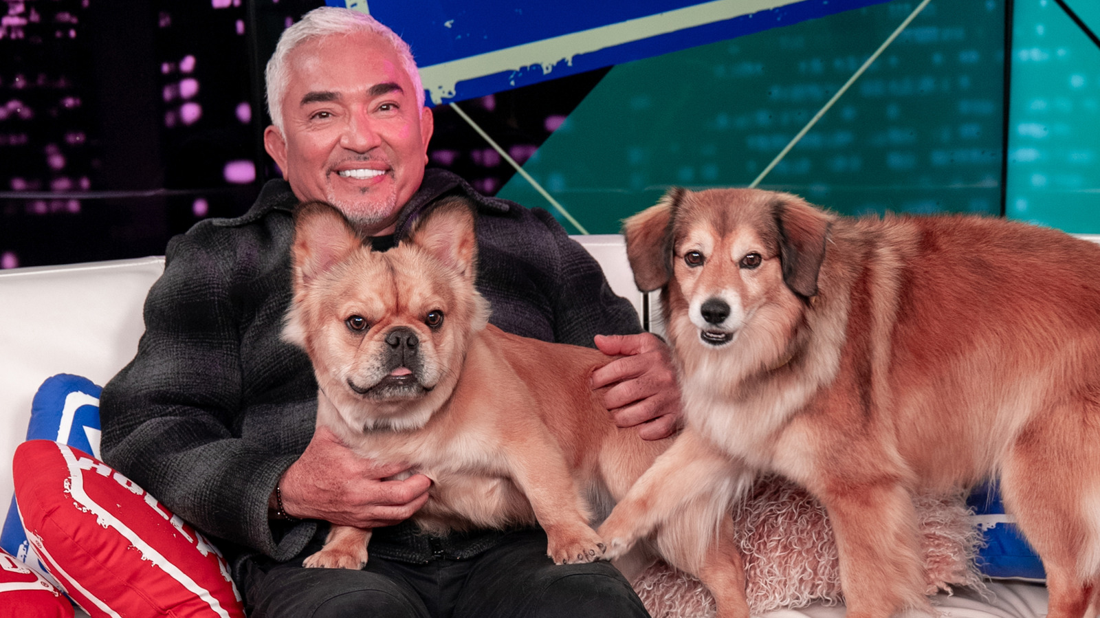 Cesar Millan's Trick For Acing Dog Training Will Test Your Willpower