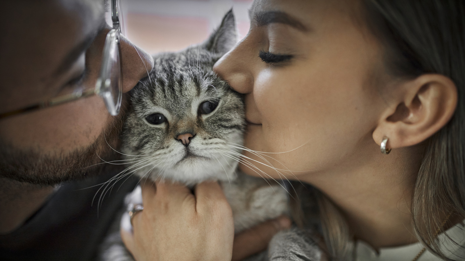 Do Cats Know What Kisses Mean (And Do They Actually Enjoy Them)?