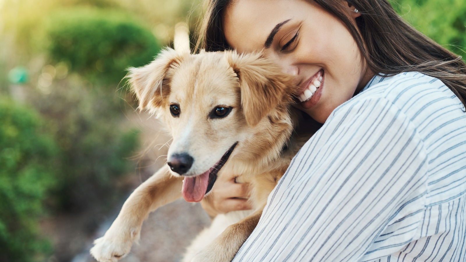 Expert Tips To Help Your Dog Live Longer