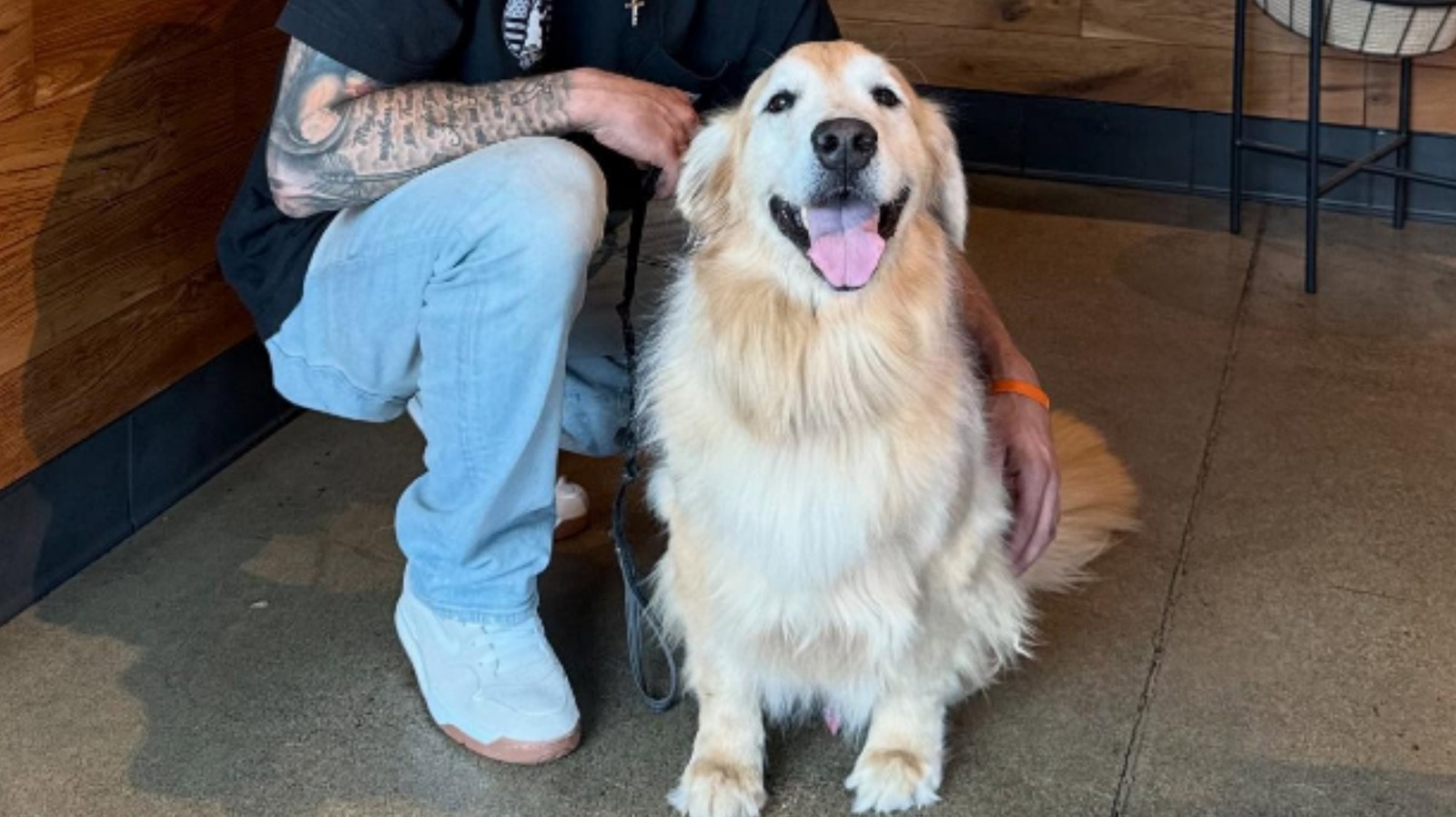 Golden Retriever Gets Forever Home After Man Comes To Shelter To Adopt ...