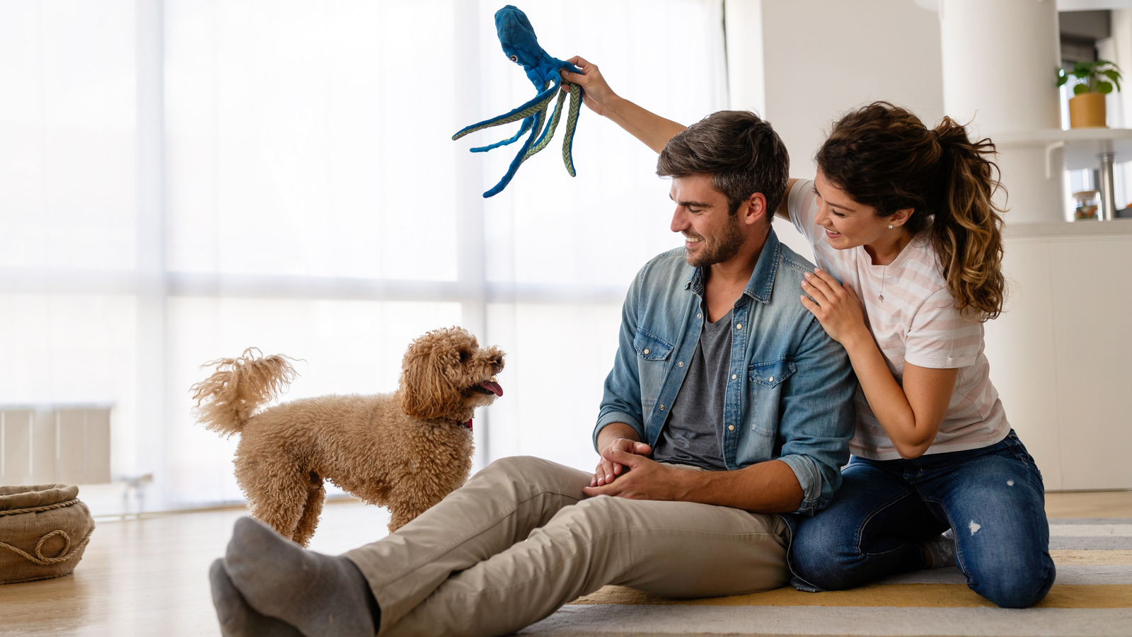 Here's How To Prep Your Home Before You Get A Dog