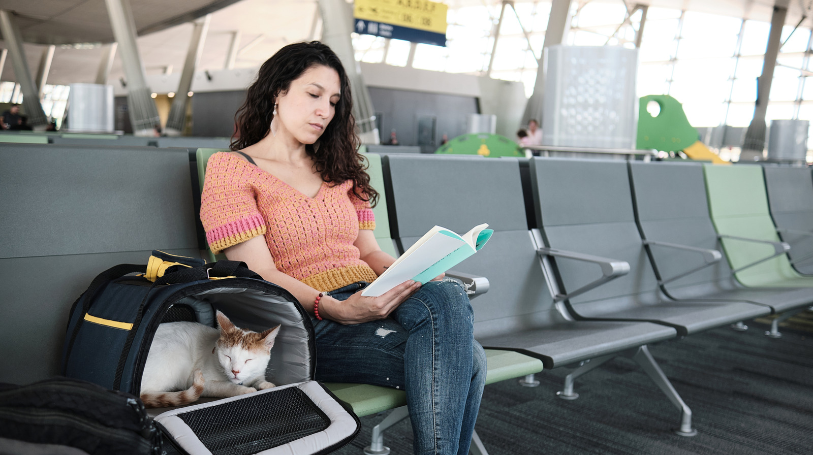 Pet Passports: The Rules You Need To Know Before You Travel Internationally