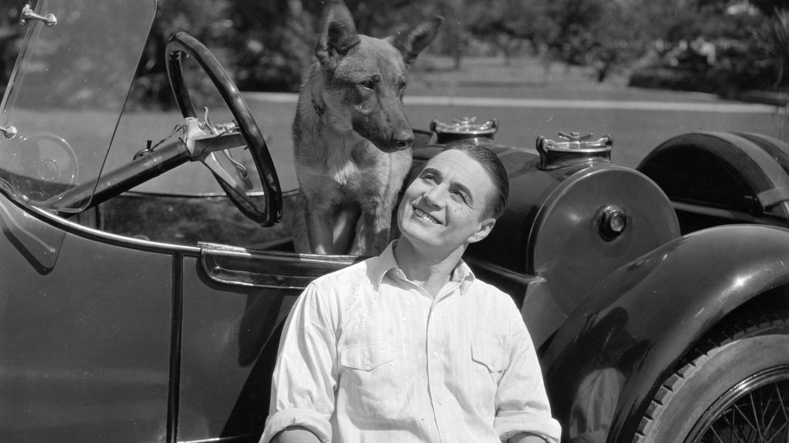 The Dog Breeds That Were The Most Popular In The Early 1900s