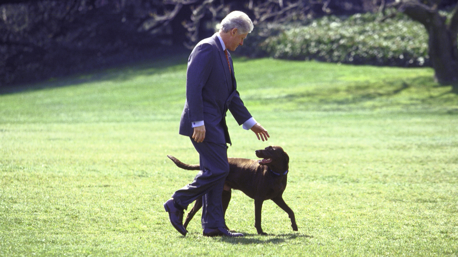The Former First Dogs Of The White House: What You Never Knew