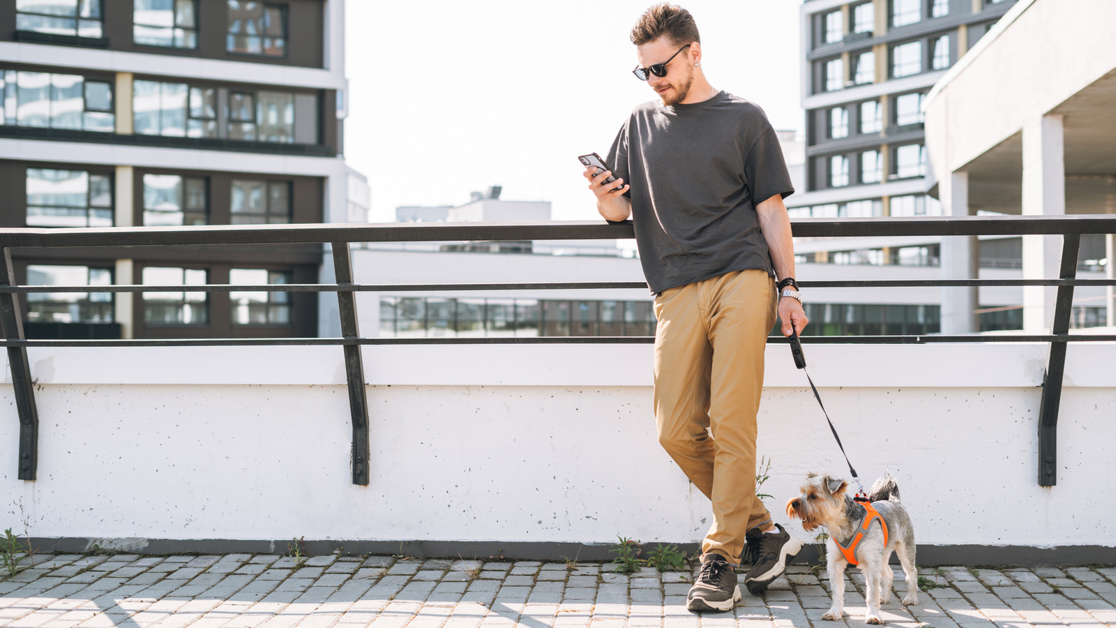 The Hack That'll Free Up Your Hands Next Time You Walk Your Dog