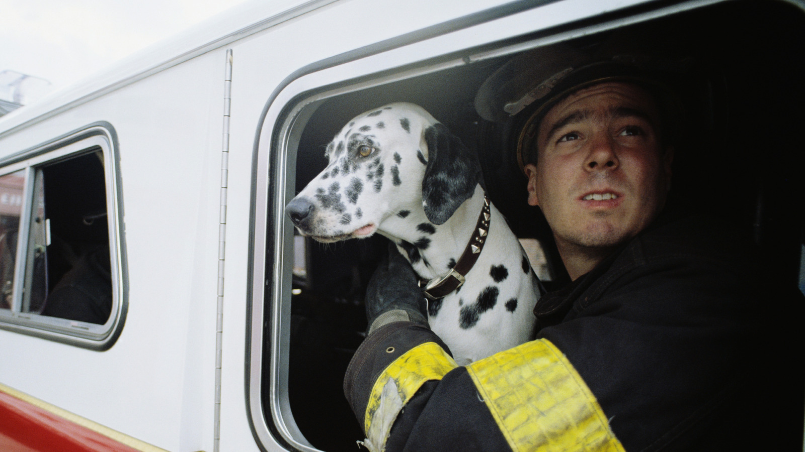 What Do Dalmatians Do For Firefighters
