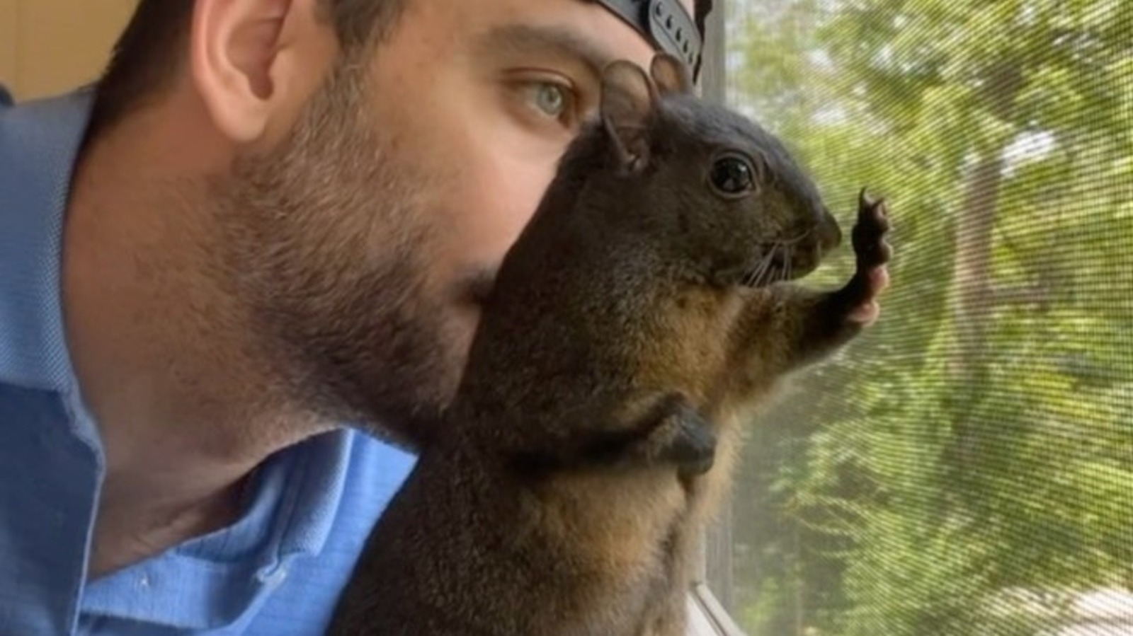 The Tragic Story Of Peanut The Squirrel The Tragic Story Of Peanut The Squirrel
