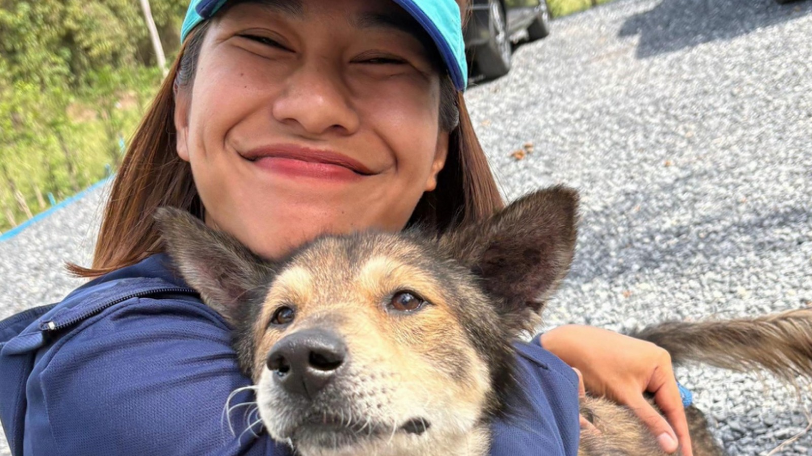 These Senior Dogs Who Were Rescued Off The Street Are Now Living Their ...